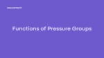 Nature, Types, and Functions of Pressure Groups